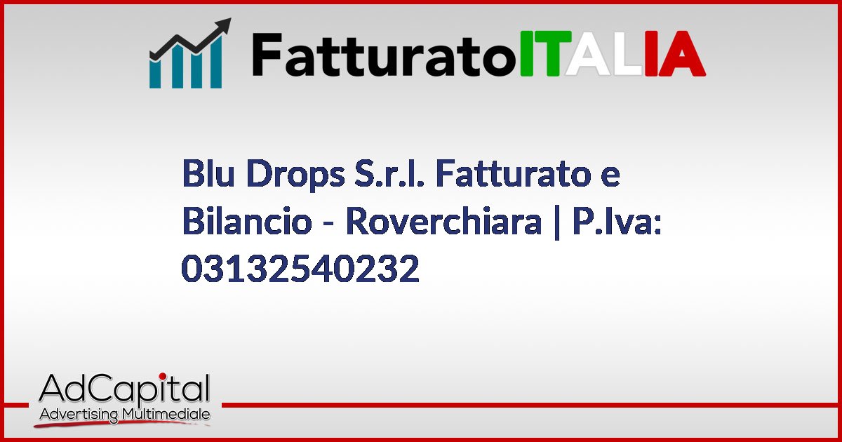 Fatturato Blu Drops S.r.l. Roverchiara VR Partita Iva 03132540232